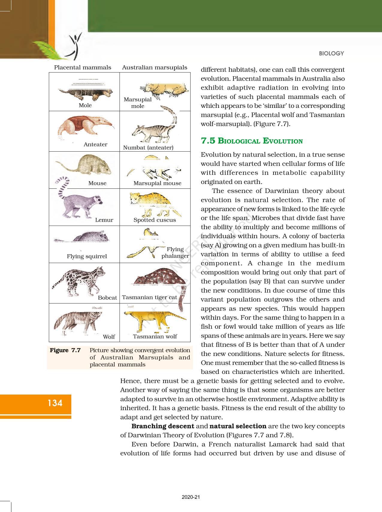 Evolution NCERT Book Of Class 12 Biology